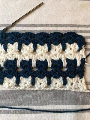 How to Crochet Cat Stitch - CRAFTSFORALL